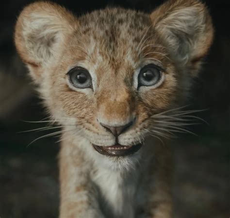 Kiara Reboot The Lion King Wiki Fandom