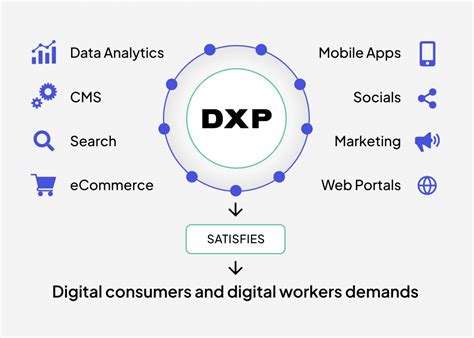 Dxp What Is It And What Are The Advantages Of It Tin Soldier