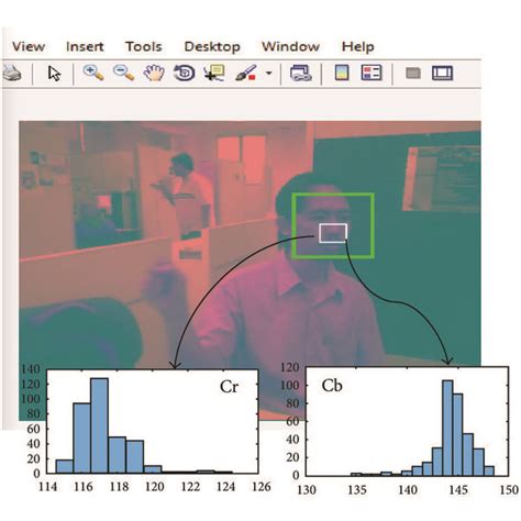 The Output Of Face And Nose Regions Detection Using Violajones Algorithm Download Scientific