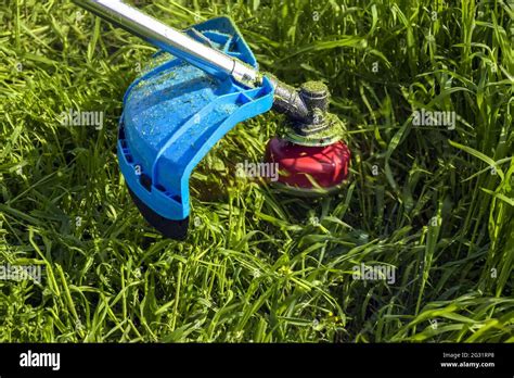Process Of Cutting Green Grass With Trimmer Rotating Head With Red Fishing Line Cuts Grass