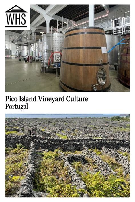 Landscape Of The Pico Island Vineyard Culture World Heritage Sites