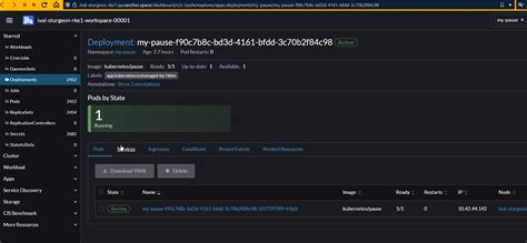 27x V267 Workloads List View Not Updating Restart And Health Columns On User Update Of