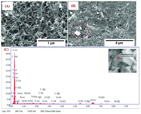 the cnt gac filtering layer a an sem image of captured pm at 1 µm