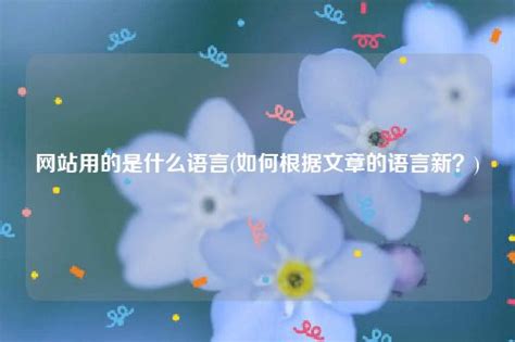 网站用的是什么语言如何根据文章的语言新？ 速云数据