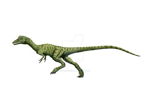 Jurassic Parks Novel Procompsognathus Triassicus By Marianorocker22 On