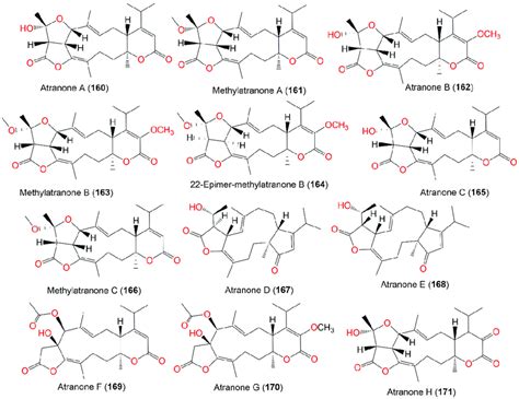 Structures Of Isoindoline Derivatives 156 159 Reported From S