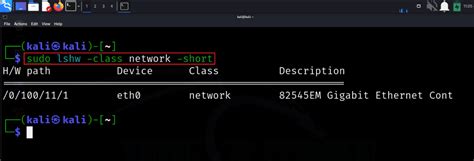 How to List Network Interfaces in Linux? | GeeksforGeeks