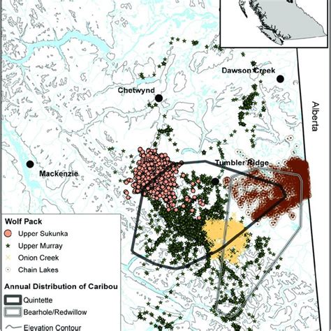 Locations Of Gps Collared Gray Wolves Symbols And 95 Minimum Convex