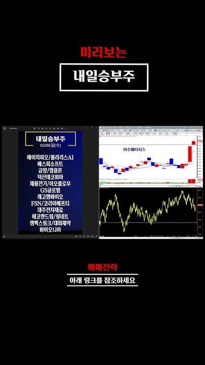 미리보는 내일승부주 수요일 Youtube