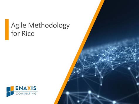 Pdf Agile Methodology For Rice Dokumentips