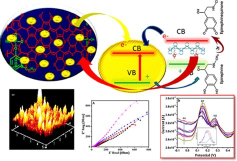 用于神经递质的柔性电化学传感器平台 Acs Omega X Mol