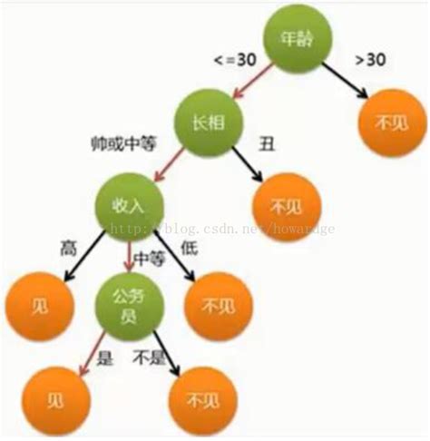 R语言与数据分析之三：分类算法2r语言分类算法 Csdn博客