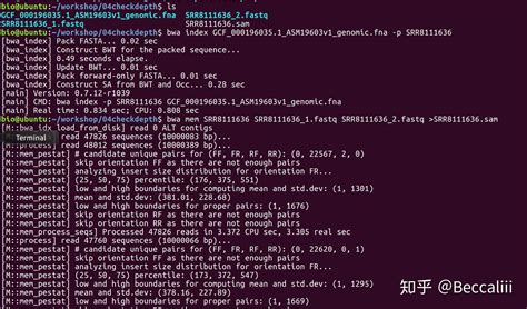 fastq、bam文件与测序深度查询 知乎