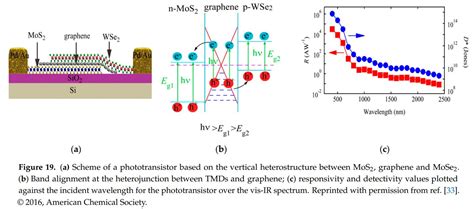 Image Sensors World Review Of Mos2 Based Photodetectors