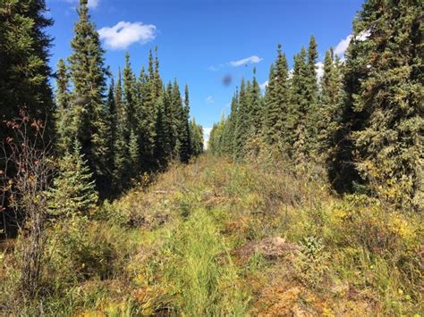 Special Projects Terra Logix