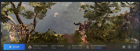 My Steam Library Background For Bg3 Is A Favored Moment R Baldursgate3