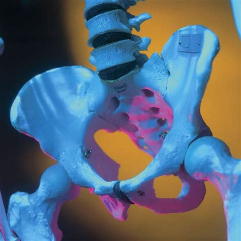 Scientists Stopped From Giving Importance Of Biological Sex Talk Us