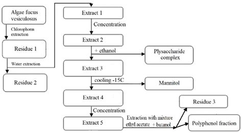 Scheme Of Isolation Of Polyphenol Compounds From Brown Algae Download