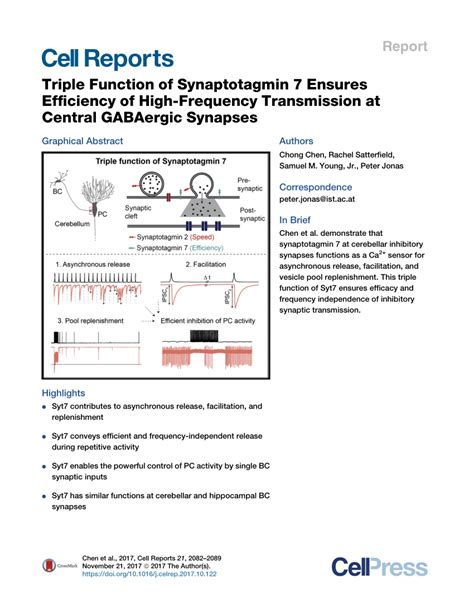 Pdf Triple Function Of Synaptotagmin 7 Ensures Efficiency Of High