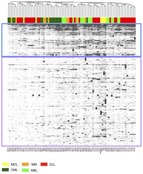 unsupervised clustering analysis of hla ligand source proteins