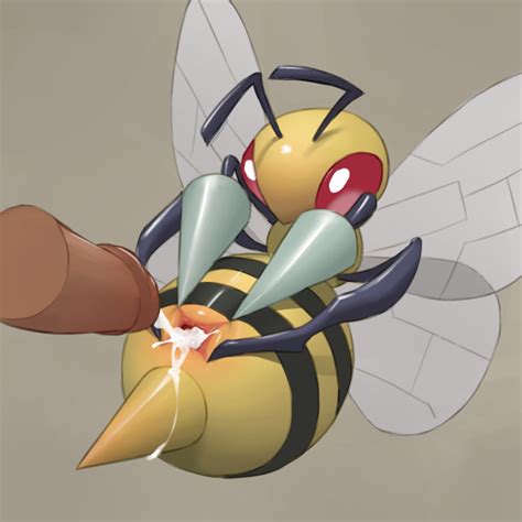 Rule 34 After Sex Arthropod Abdomen Arthropod Abdomen Cloaca