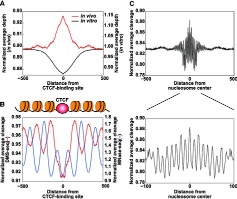 Application Of Dms Seq To Human Cells A Dms Seq Patterns Around Download Scientific Diagram