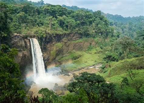 Off The Beaten Track Destinations For Epic Adventures Cameroon Waterfall Jungle
