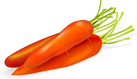 Vector Carrot Free Vector Download 378 Free Vector For Commercial Use