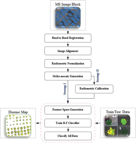 Data Processing Flow Diagram Strategy I Processing Without