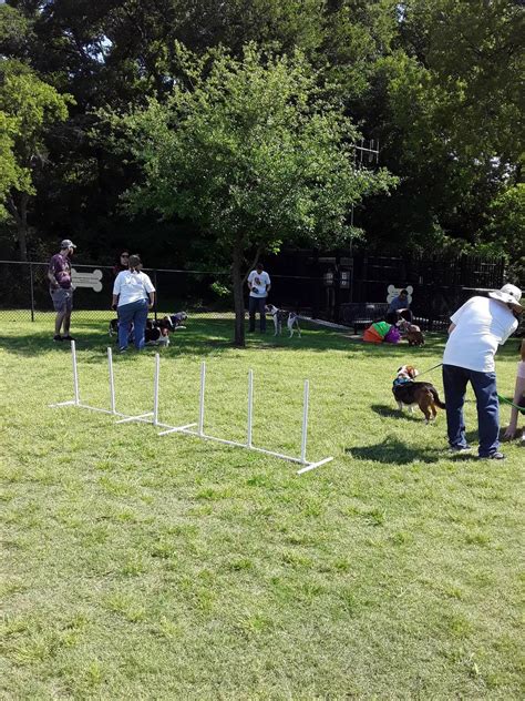 Good Boy Heaven Scrolller