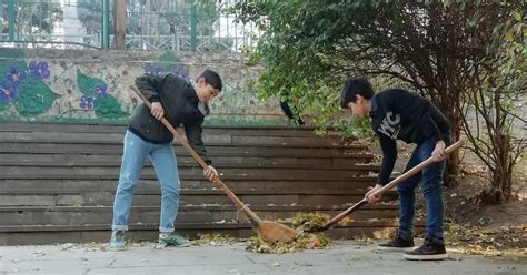 ეკოლოგები დასუფთავების აქცია სკოლის ეზოს დასუფთავება მოწესრიგება