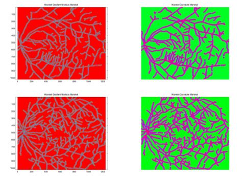 Colour Coded Image Of Wavelet Gradient Modulus Left And Curvature Download Scientific Diagram