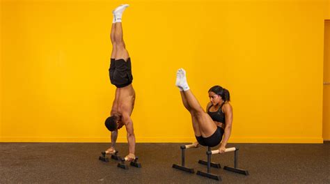 Why Everyone Should Own Parallettes The Ultimate Guide To Choosing Th