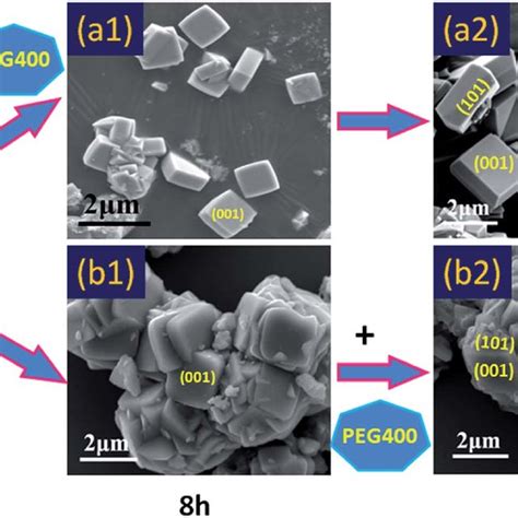 The Morphology Of Anatase Tio 2 Single Crystals Synthesized With Download Scientific Diagram