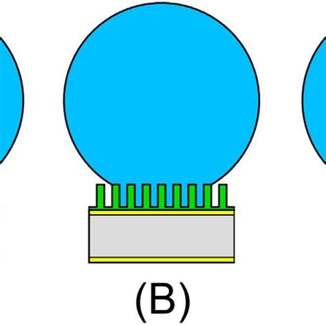 Wetting State Transitions From Wenzel To Cassie On Partial Cassie Download Scientific Diagram