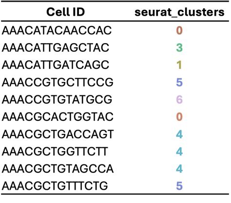 Lesson 2 Basic Single Cell Analysis Workflow With Seurat • Seuratextend