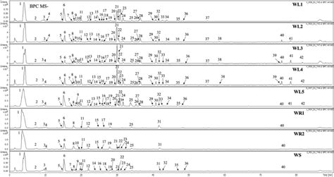 Base Peak Chromatogram In Negative Mode Of Analysed Samples Obtained In Download Scientific