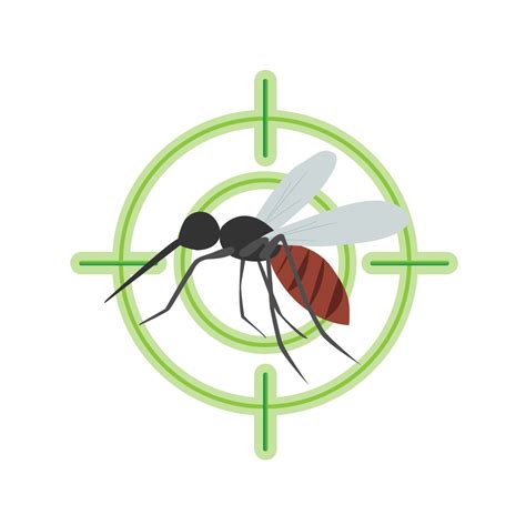 Fumigación De Cajas De Trailer Cajas Secas Libres De Plagas