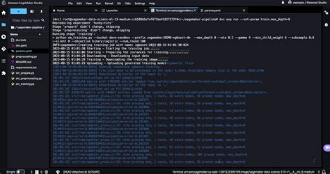 Amazon Sagemaker Data Version Control · Dvc