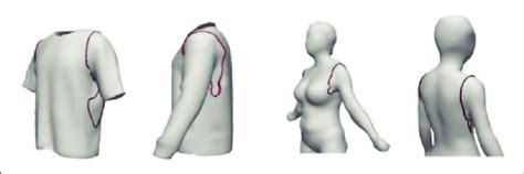 Incorrect Segmentation Line Download Scientific Diagram