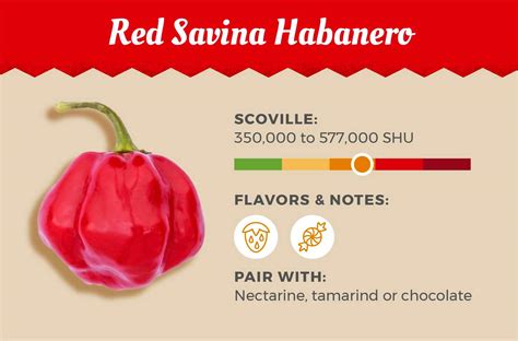 How Spicy Are Habaneros Habanero Pepper Profile Uses Heat Qaqcex