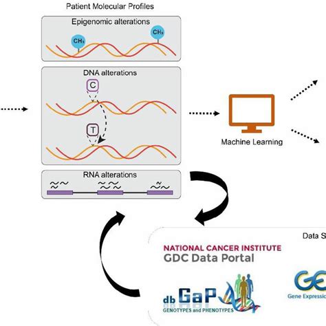 Schematic Representation Of The Workflow For Predictive Modeling Of