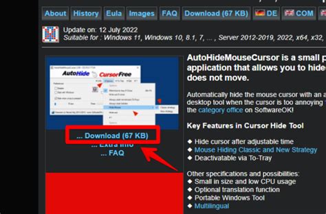 【autohidemousecursor】マウスを指定時間後に非表示にするソフト ナポリタン寿司のpc日記