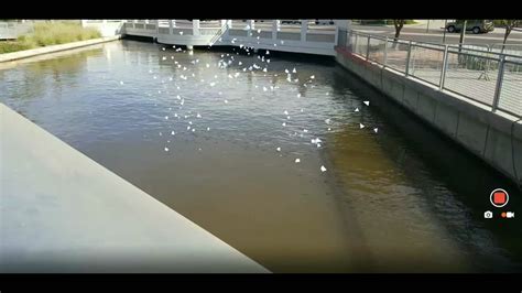 Nicolas Robbe On Linkedin Augmented Reality Artwork Mirage By Nancy