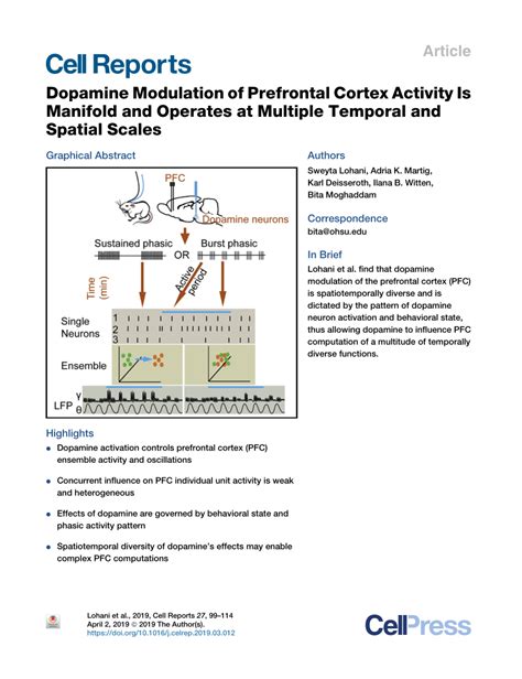 Pdf Dopamine Modulation Of Prefrontal Cortex Activity Is Manifold And Operates At Multiple