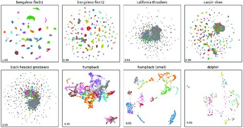 Umap Projection Of Ae Embedding For Each Dataset Points Are Colored By