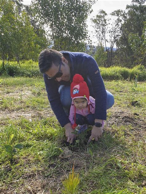 Tree Plantation Drive Melbourne South Melbourne Australia Tree Plantation Drive Melbourne South Melbourne Australia