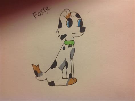 Fosse Paw Patrol Fanon Wiki Fandom Fosse Paw Patrol Fanon Wiki Fandom