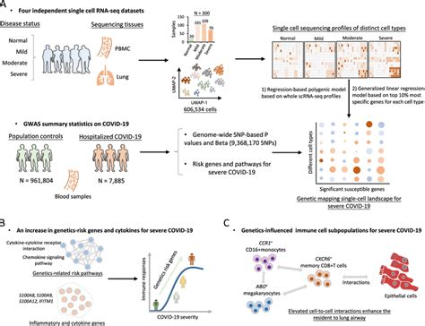 The Workflow For This Integrative Genomic Analysis A Combination Of
