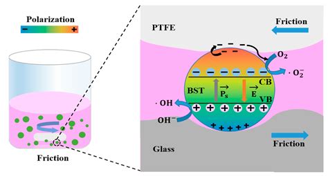 Effect Of Strontium Substitution On The Tribocatalytic Performance Of Barium Titanate